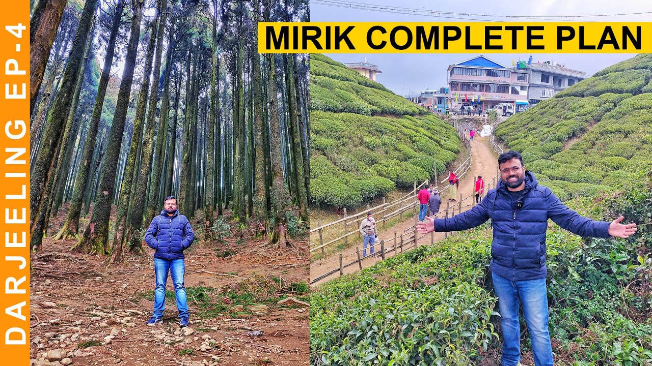 Darjeeling to Mirik Garden Complete one day Tour Plan with cost ...