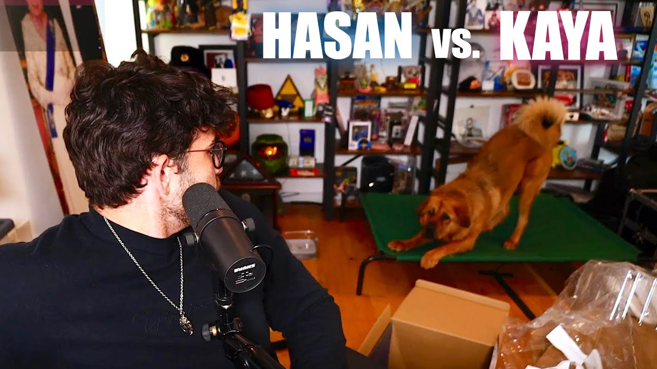 Hasan Gets Distracted By Kaya #2 | HasanAbi Reacts - YouTube