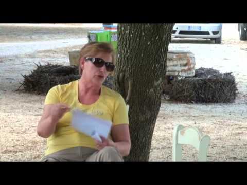 Scrivoanchio.it - Giulia Basile (3a parte) - YouTube