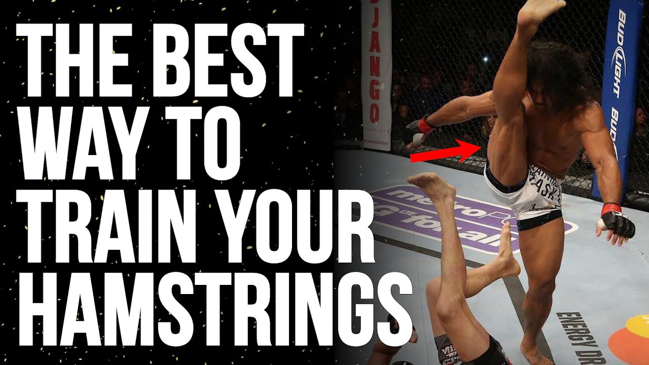 How to Build Your Hamstrings - YouTube