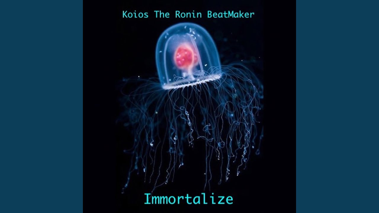 Immortalize - YouTube