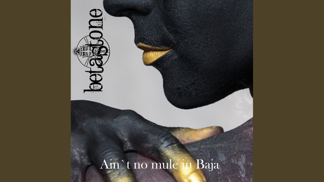Ain't No Mule in Baja - YouTube