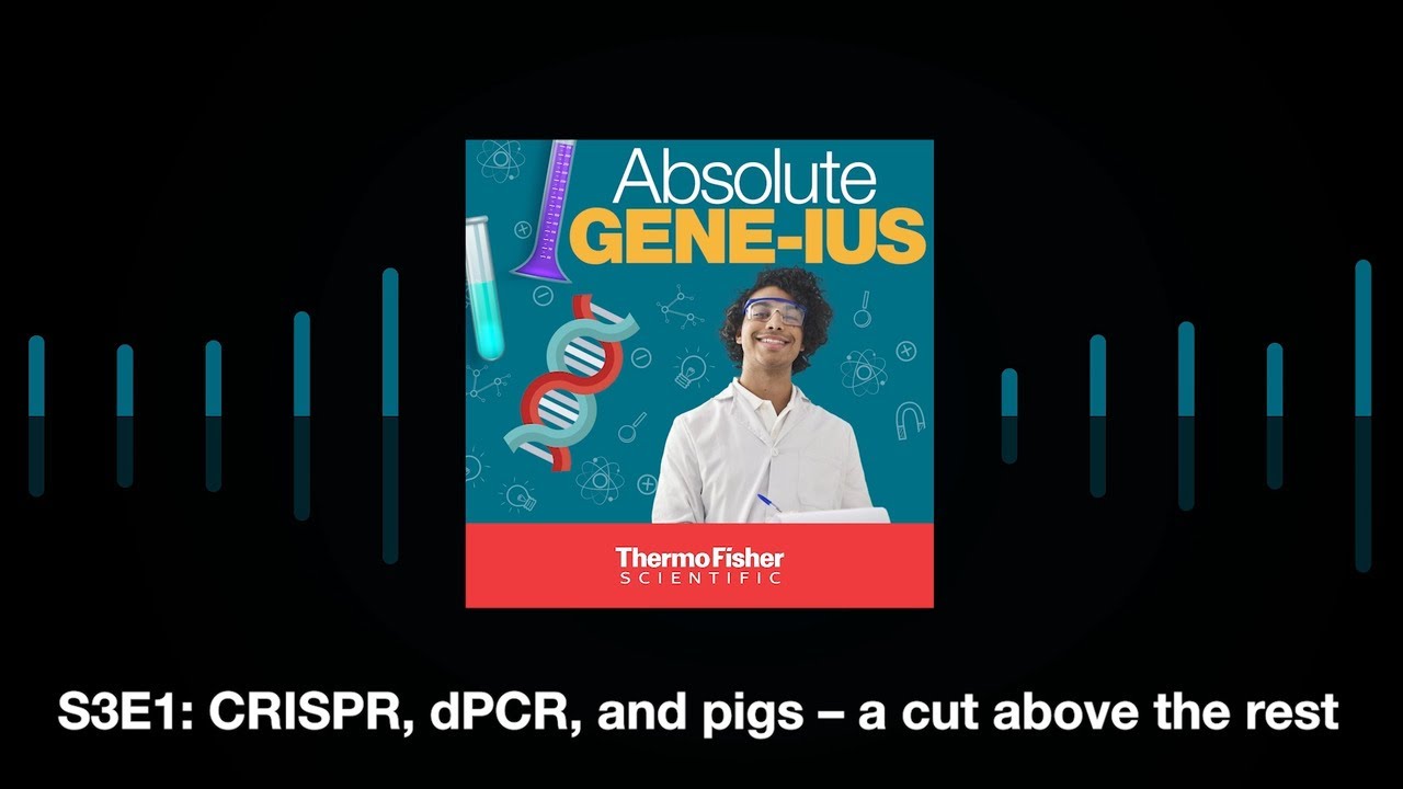 CRISPR, dPCR, and pigs—a cut above the rest - YouTube