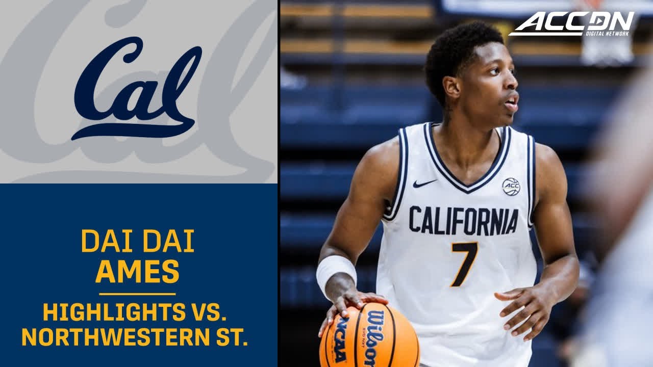 Cal's Dai Dai Ames Highlights vs. Northwestern State - YouTube