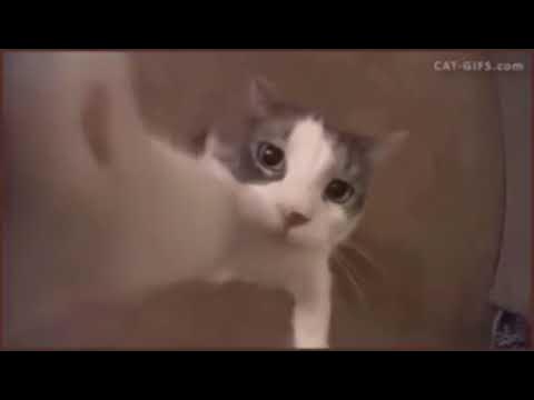 tried to read nbt tag that was too big - YouTube