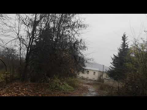 Zangilan merkezi kucesi
