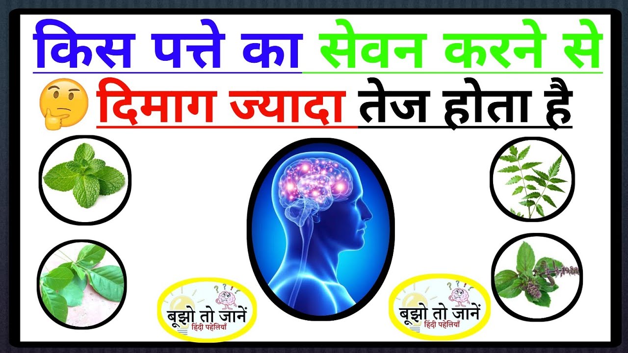 Sharp Mind Gk 2023|| Gk ke sawal || Gk Quiz || General Knowledge || Gk Questions || Gk Hindi ...