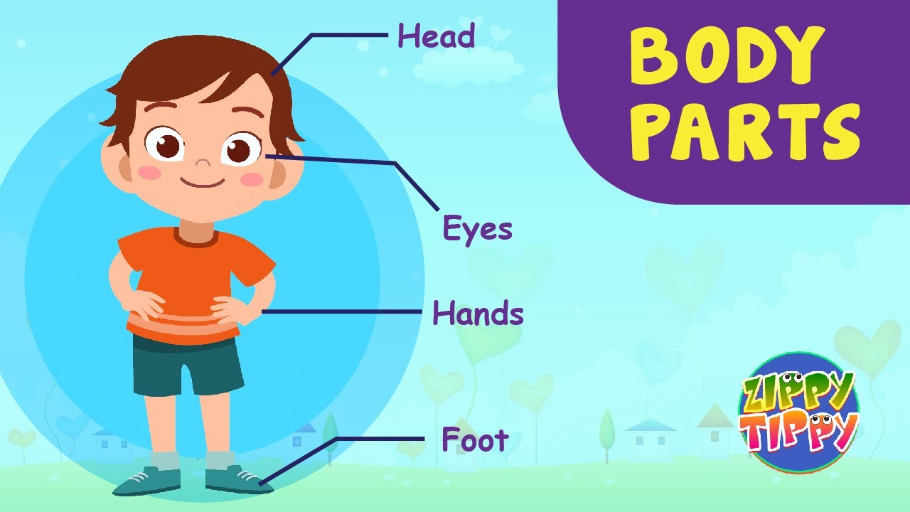 Body Parts | Parts of Body For with Spelling | Learn Body Parts | Basic ...