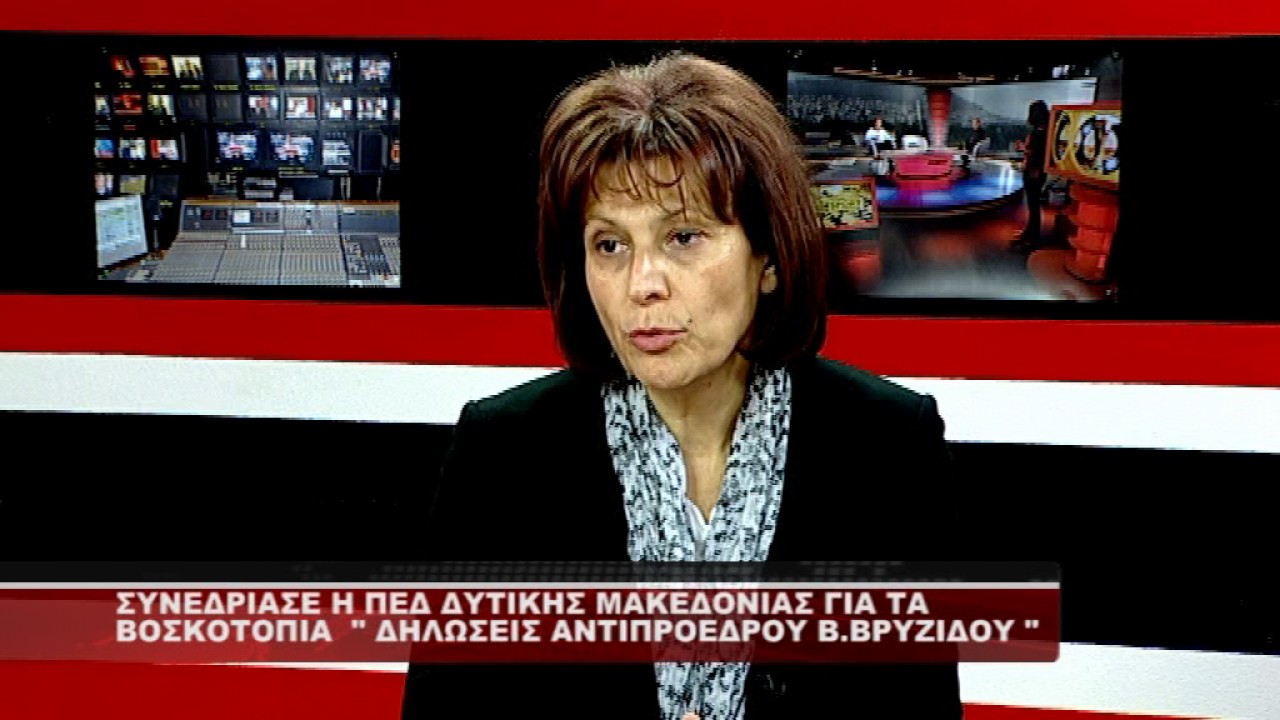 H ANTIΠΡΟΕΔΡΟΣ ΤΗΣ ΠΕΔ ΔΥΤΙΚΗΣ ΜΑΚΕΔΟΝΙΑΣ ΒΙΚΥ ΒΡΥΖΙΔΟΥ ΓΙΑ ΤΑ ...