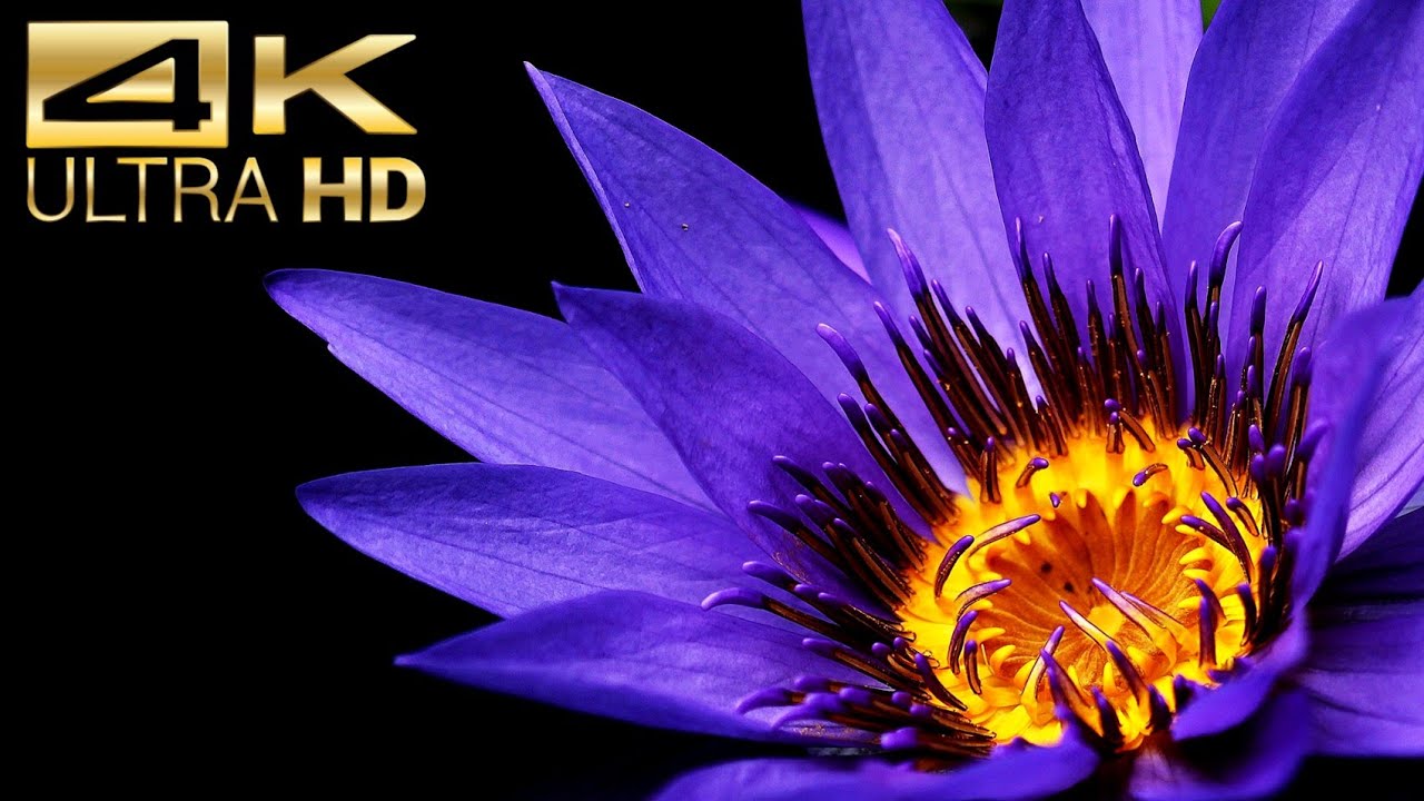 4K HDR 60FPS DOLBY VISION DEMO 4K | SONY 4K VIDEO ULTRA HD DEMO | 4K ...