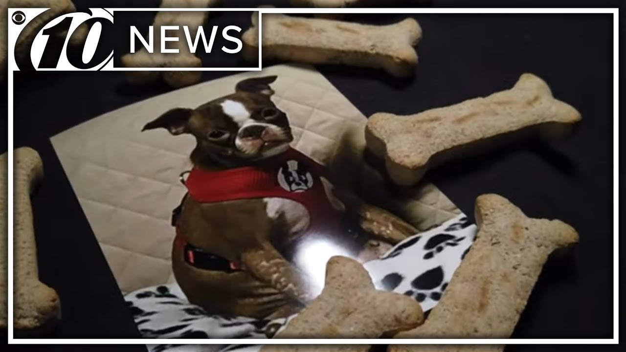 The toxic triad: Animal abuse, domestic violence and child abuse ...