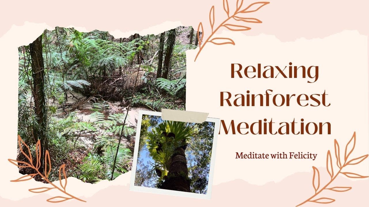 Relaxing Rainforest Meditation 🧘Walk through Wanggoolba Creek, K'gari ...