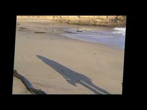 Will to explore_Fraser MacDougall - YouTube