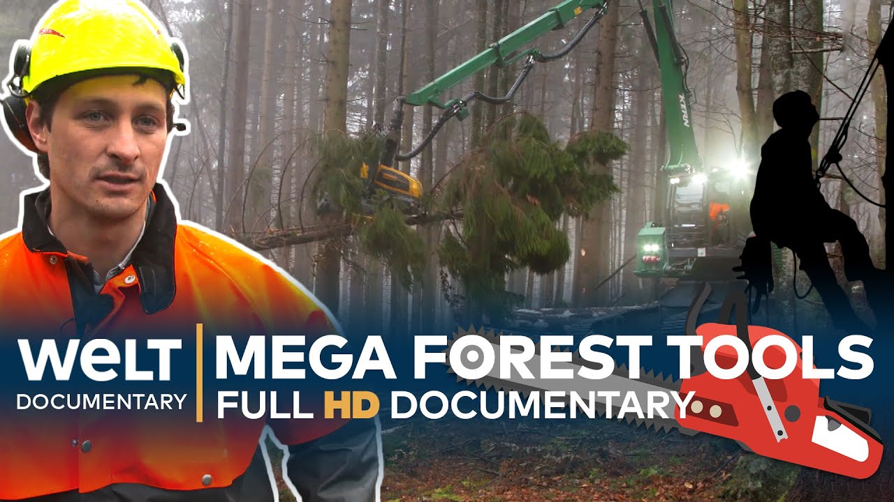 TREACHEROUS TIMBER - Loggers And Their Mega Tools | Full Documentary ...