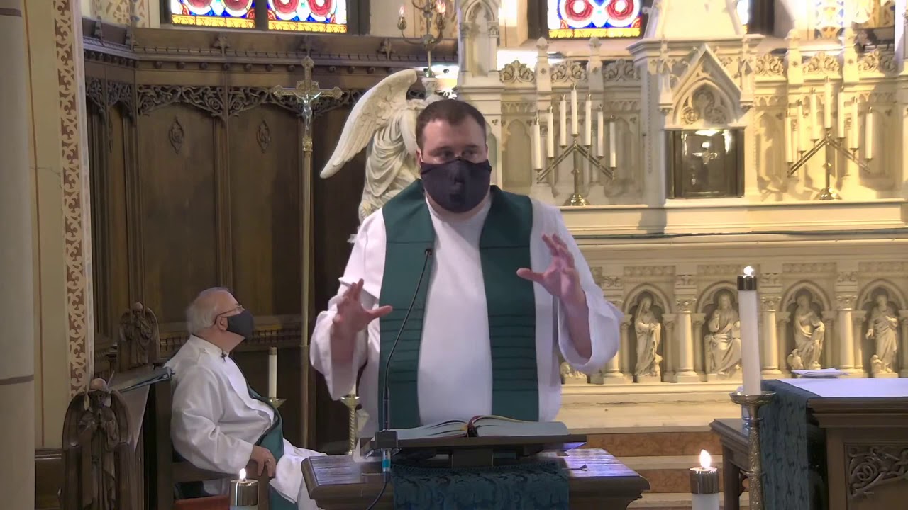 Fr. Steven's Homily for the 16th Sunday in Ordinary Time- July 19, 2020 ...