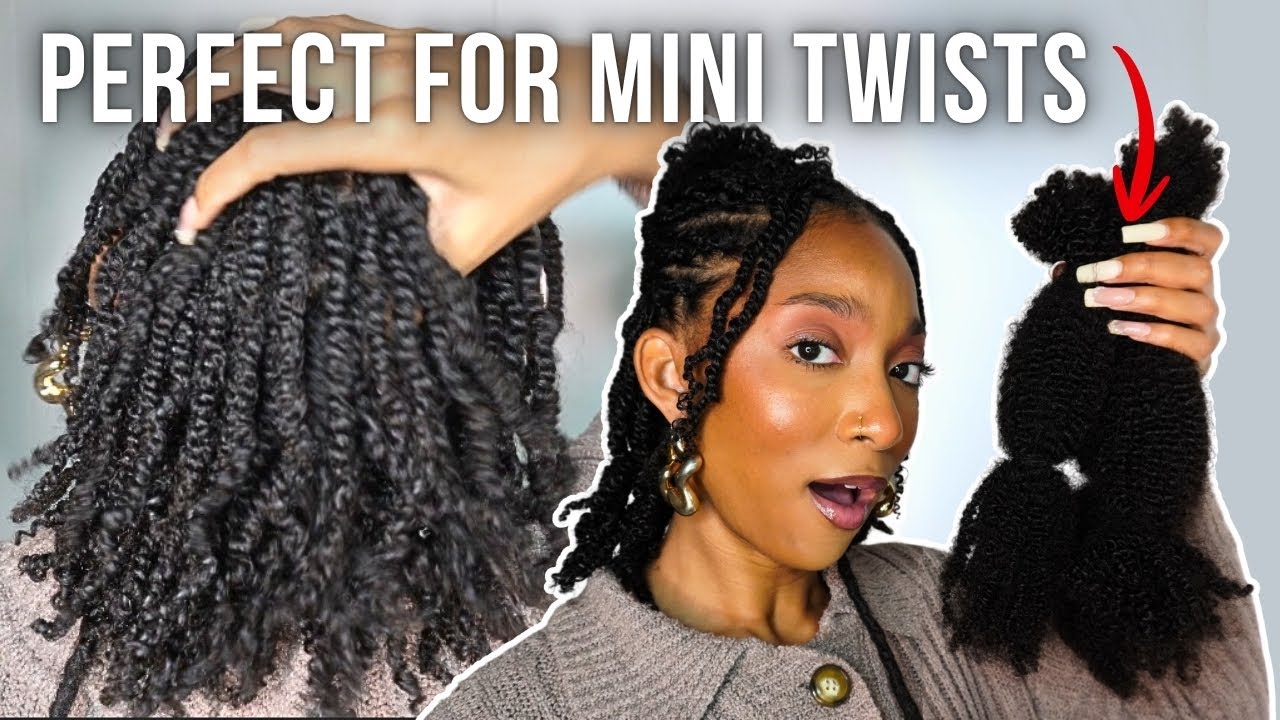 The ULTIMATE Guide to Mini Twists with 4a/4b Bulk Hair ft. HotBraids ...