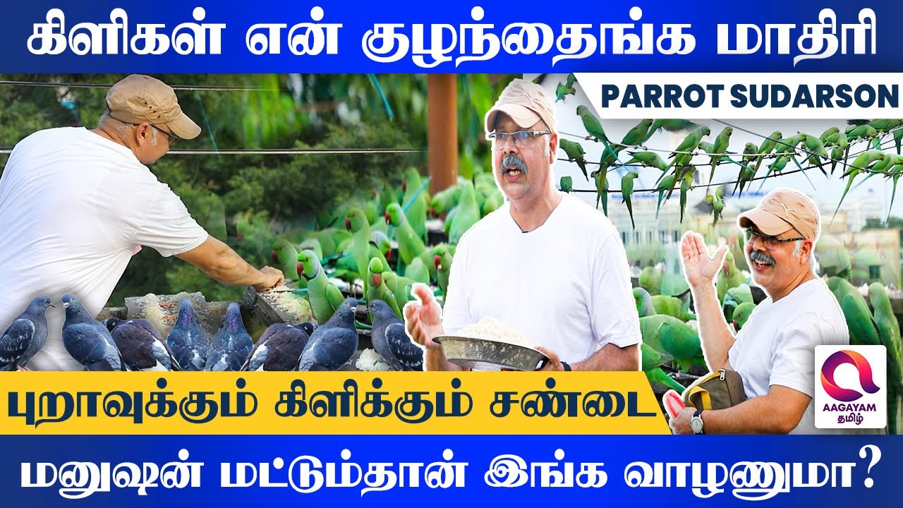 அரசாங்கம் மரத்தை வெட்டாம இருந்தா பறவைகள் வாழும் - Parrot Sudarson | The ...