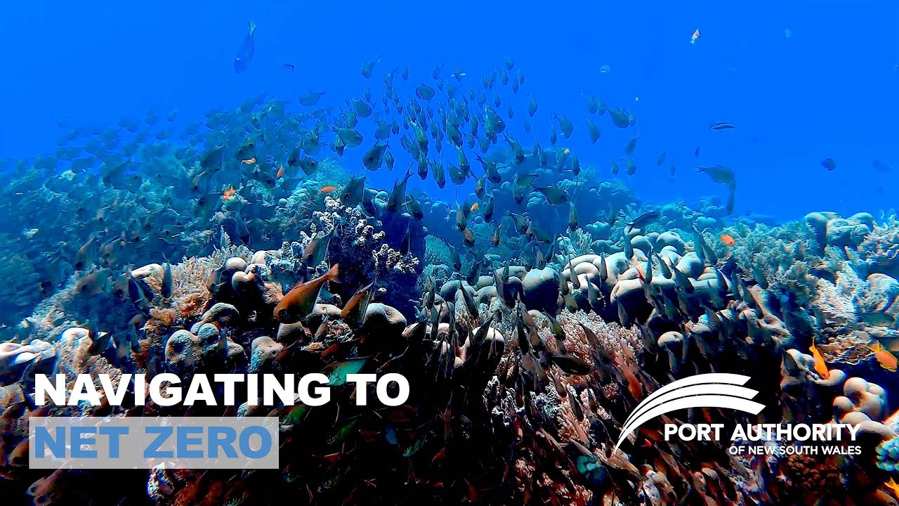 Navigating to Net Zero - YouTube