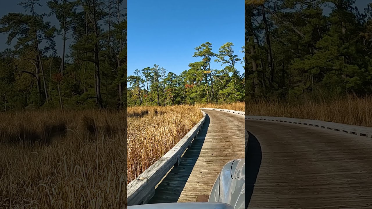 DRIVING Through a SWAMP on a Single Track WOODEN ROADWAY BRIDGE #shorts ...