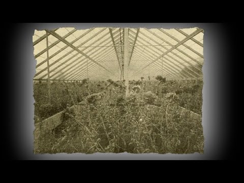 Minecraft Закулисье уровень 313 Витрум Безумие The backrooms level 313 ...