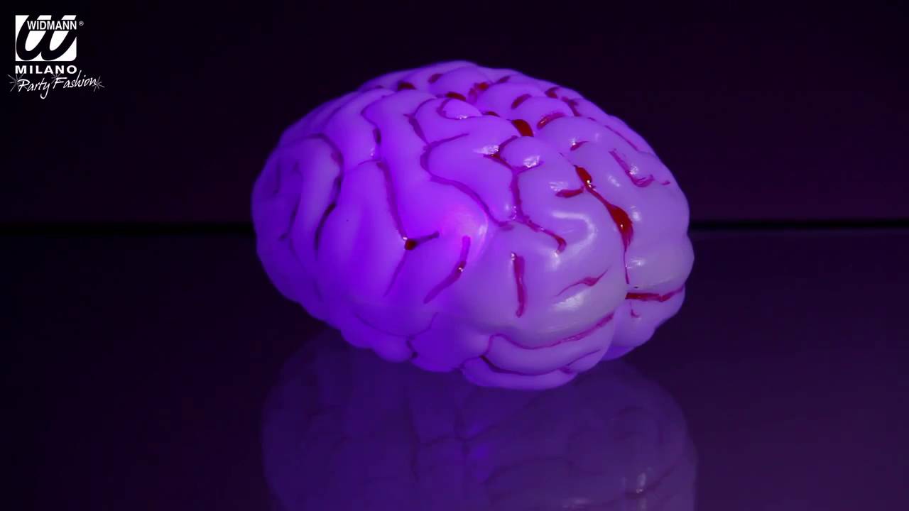 81555 LIGHT UP BRAIN - YouTube