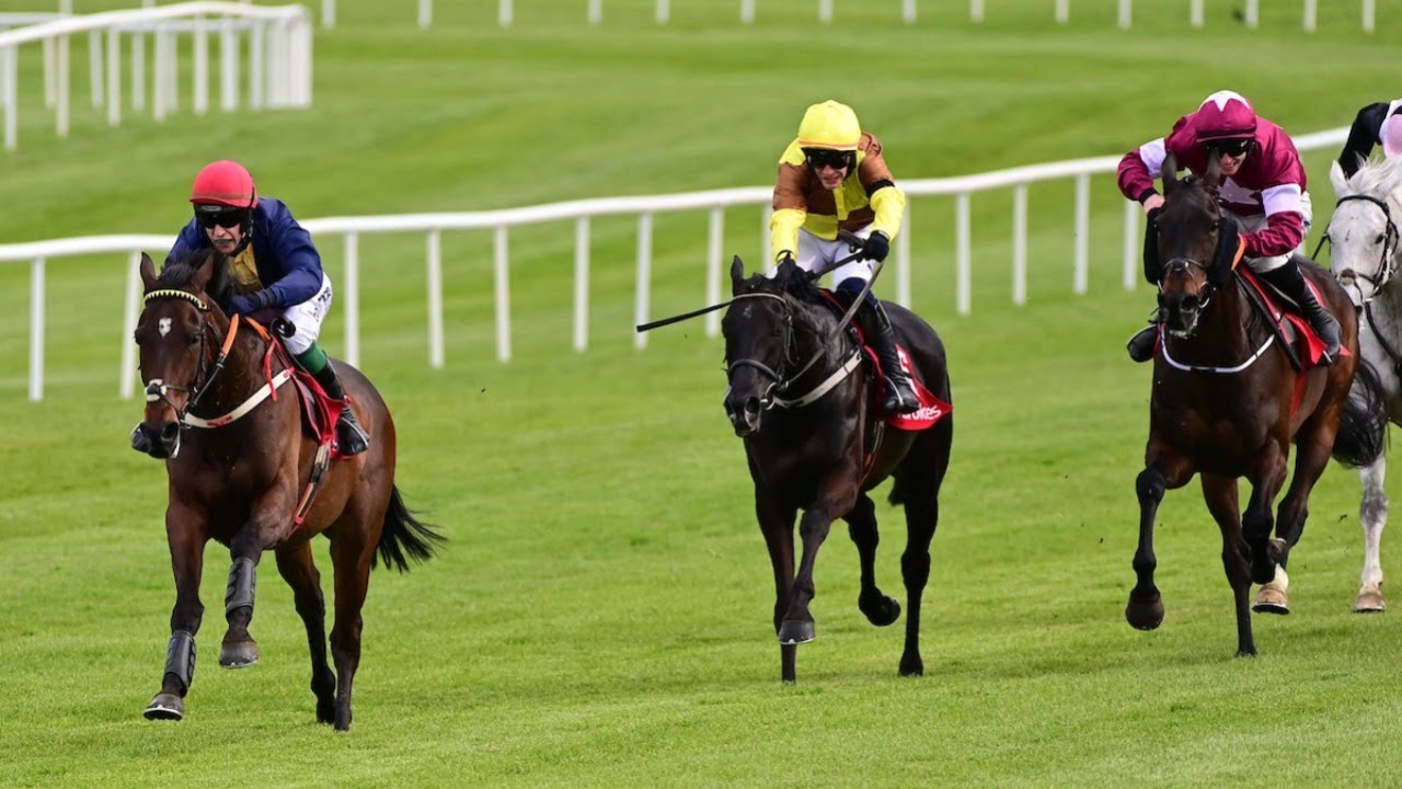 "Monster" FASTORSLOW masters GALOPIN DES CHAMPS for a third time! - YouTube