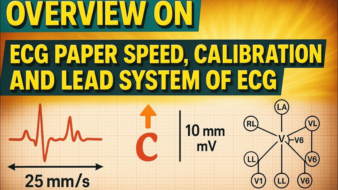 Recape the basics of ECG in one short|| By Khadim - YouTube