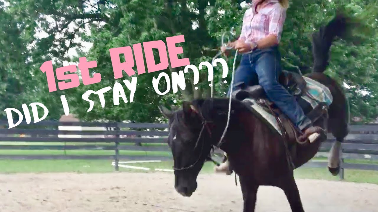 First Ride on a Makeover Mustang: Colt Starting Challenge - YouTube