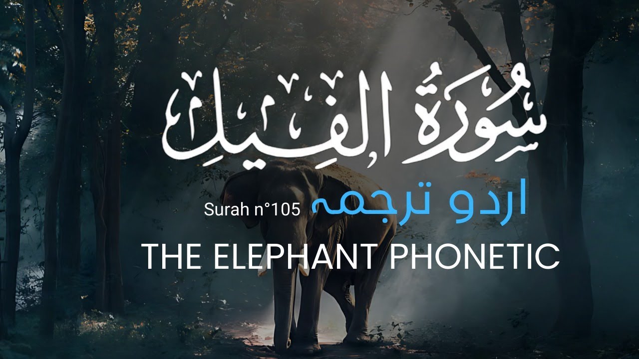 Surah Al-Fil (The Elephant) | سورة الفيل | - YouTube