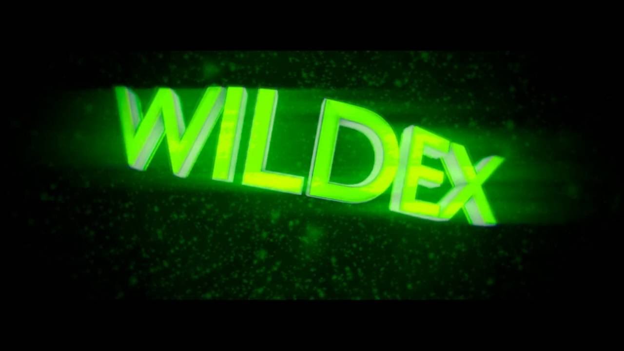 INTRO WILDEX - YouTube