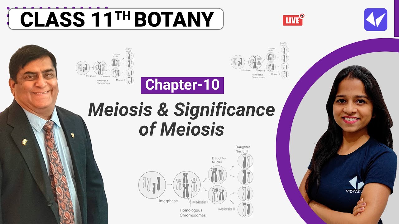 Meiosis And Significance of Meiosis | Class 11th Botany Chapter-10 ...