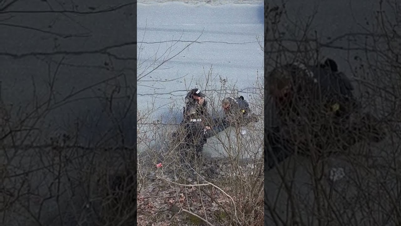 Springfield VT Police interaction. 3/25/3022 @ approx 12:40 - YouTube