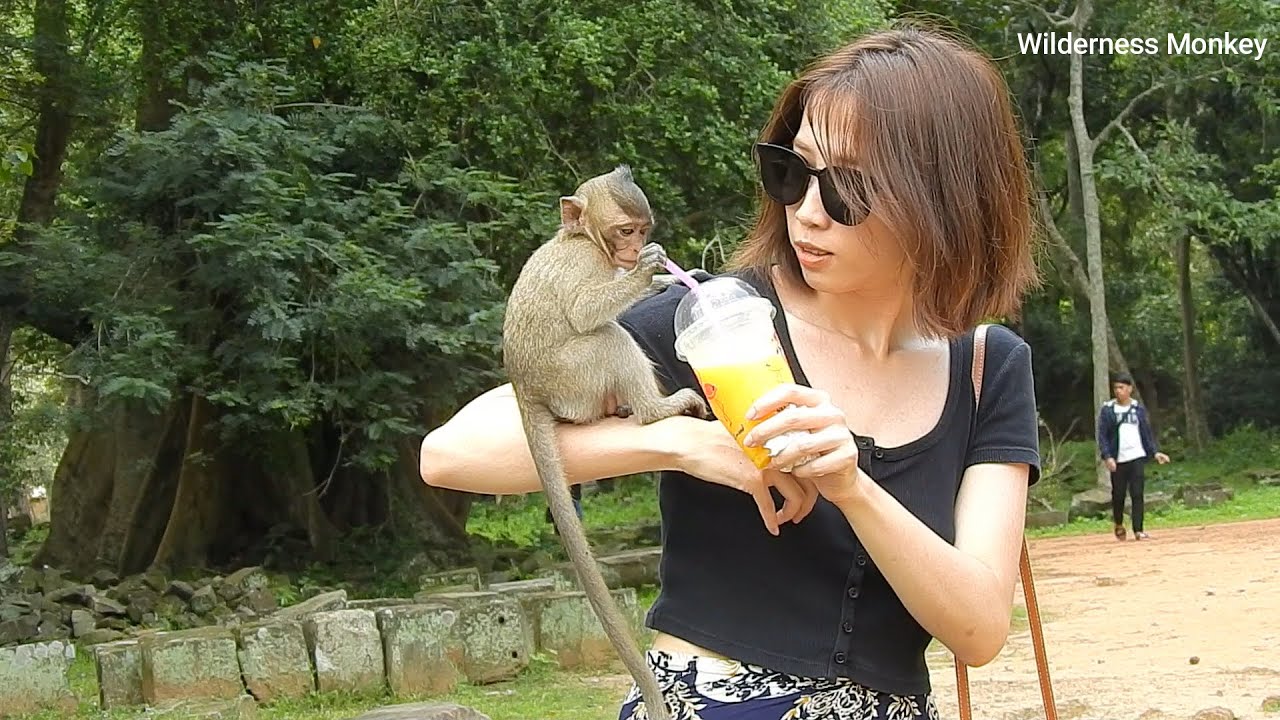 babe monkey 🙊 😚 vs beautiful girl so lovely 😍😚monkey meeting beautiful ...