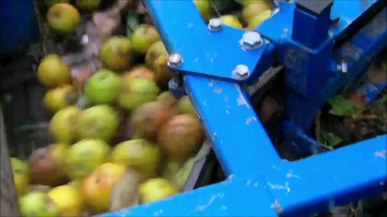 Machine à pommes SFM - YouTube