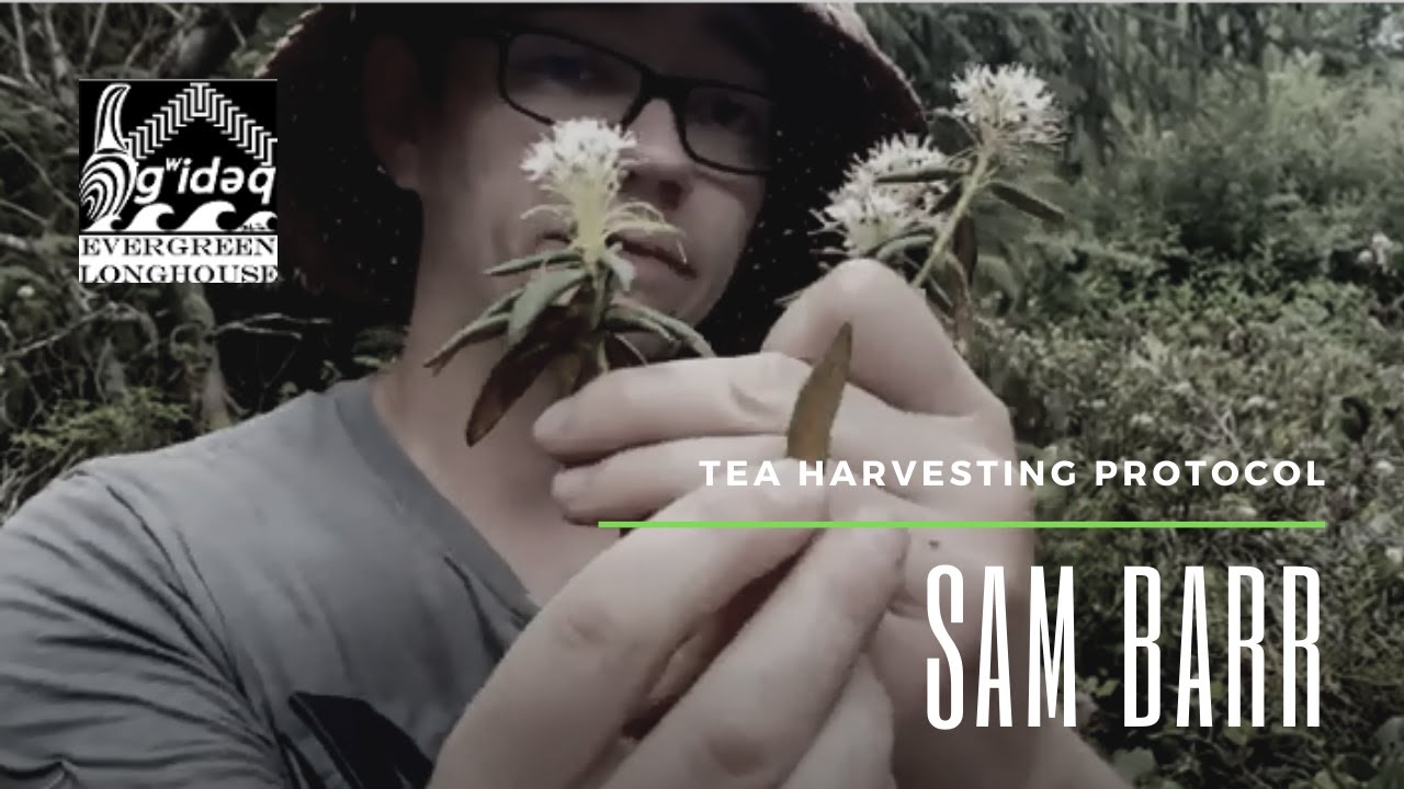 Indian Tea with Sam Barr - YouTube