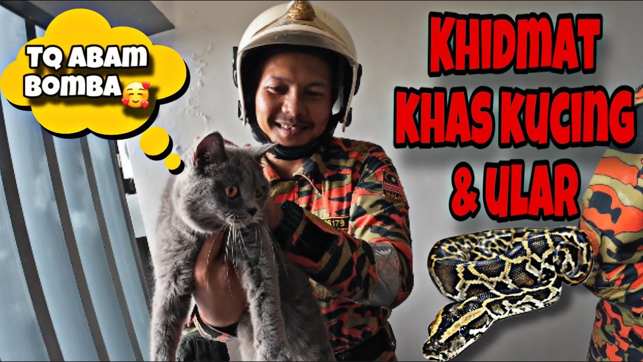 💢AKAK COMEL DISELAMATKAN ABANG BOMBA?😱 ULAR APA TU?🤔- CELORENG BOMBA ...