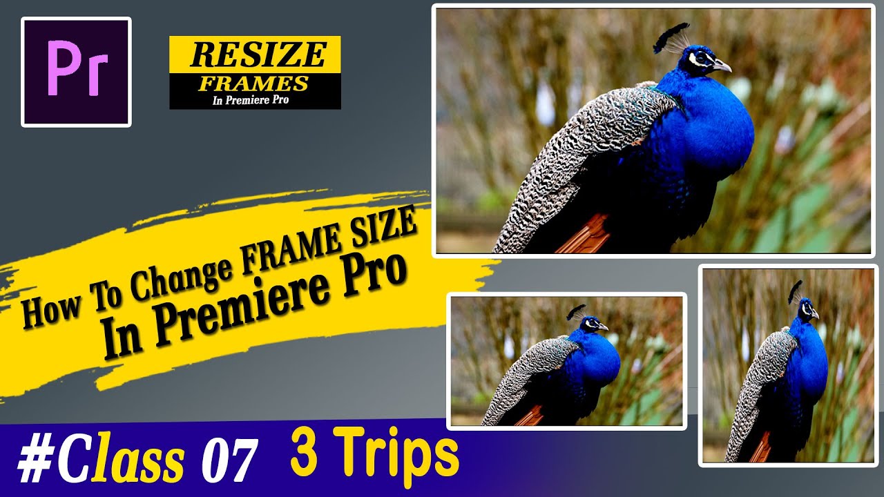 How To Change Frame Sizehow To Change Frame Size Inadobe Premiere Pro how-to-change-frame-sizehow-to-change-frame-size-inadobe-premiere-pro
