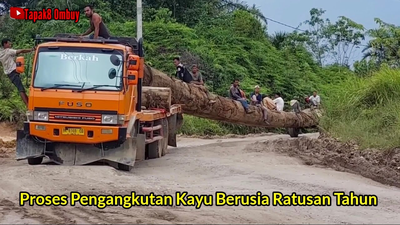 Pengawalan Truck Fuso Trado Membawa Kayu Berusia Ratusan Tahun - YouTube