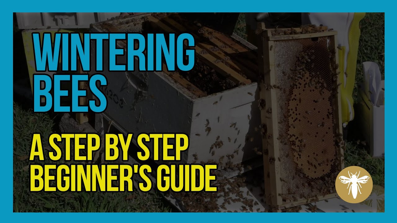 Wintering Bees in Cold Climates | Step By Step how to with Bruce White ...