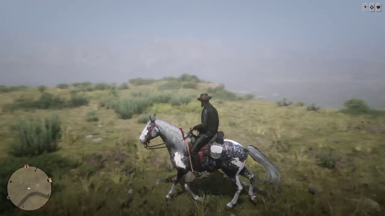 Red Dead Redemption 2 Online _ Silver Dapple Pinto Horse _ Missouri Fox ...
