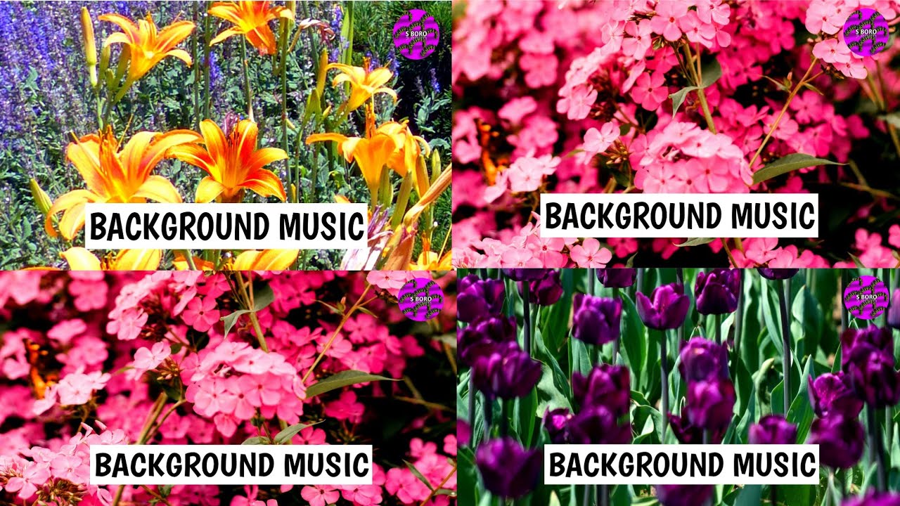 flowers & mix music | Happy Background Music No Copyright - YouTube