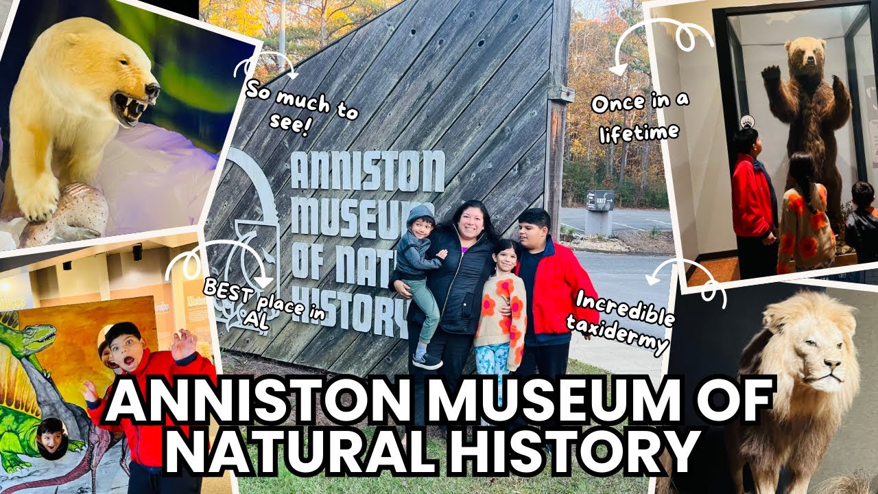 Anniston Museum of Natural History Tour | Hidden Gem in Alabama! - YouTube