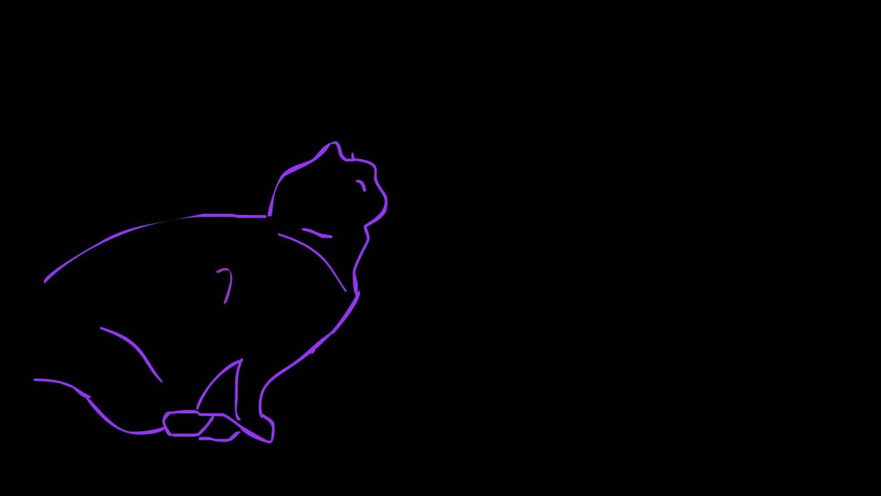 Rotoscope Cat- Julia Animation - YouTube