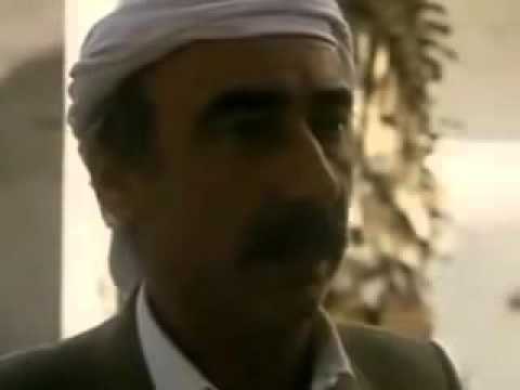 Benim Oy Nereye Gitti (Şener Şen)