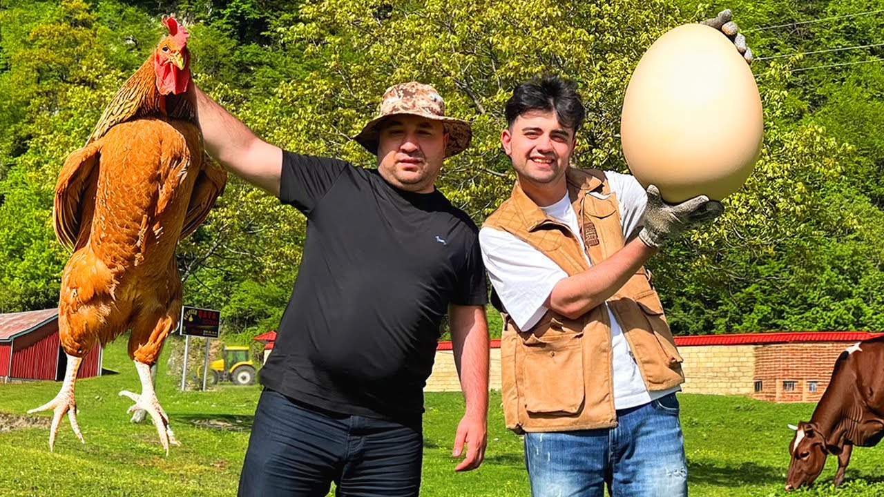 Ultimate Morning Meal: Chicken and Cheese Dish with Vegetables ...