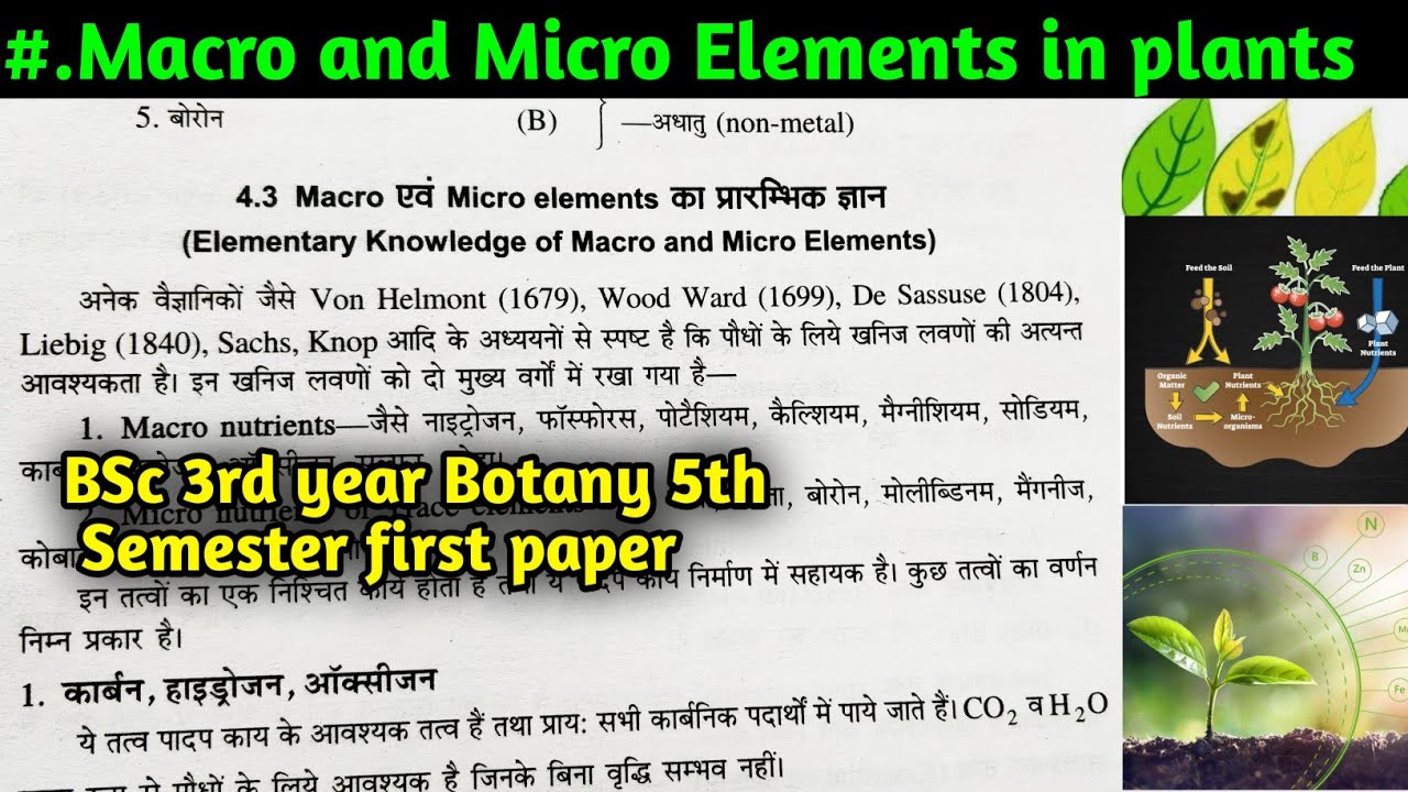 Macro and Micro Elements in Plant || BSc 3rd year Botany 5th Semester ...