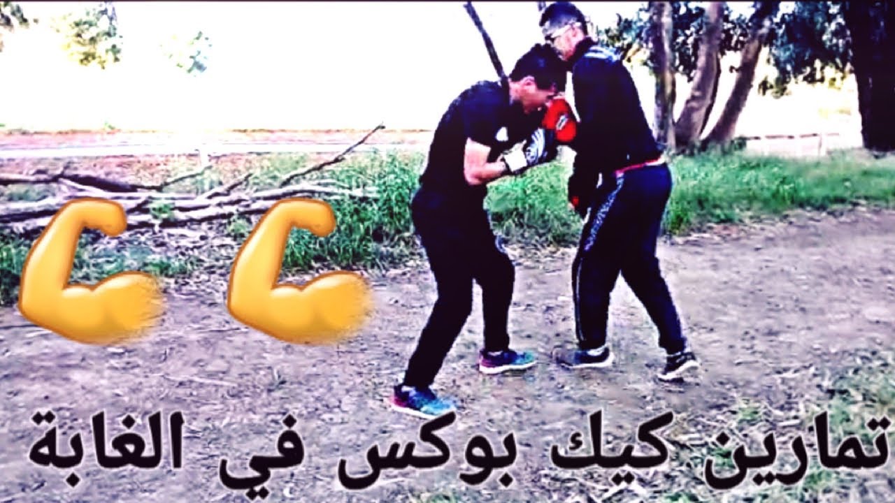 تمارين كيك بوكس في الغابة Youtube