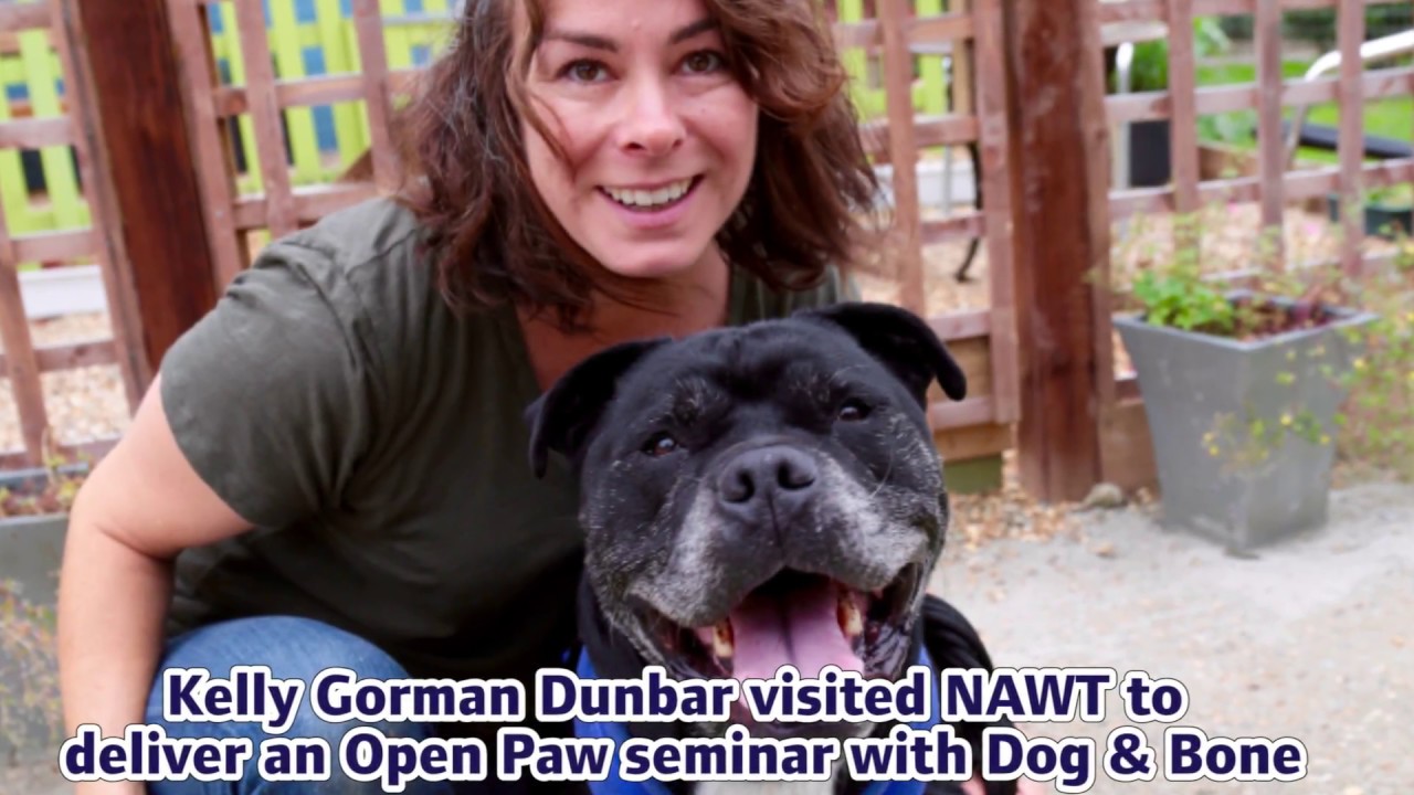 Kelly Gorman Dunbar visits NAWT's Open Paw rehoming centre for the ...