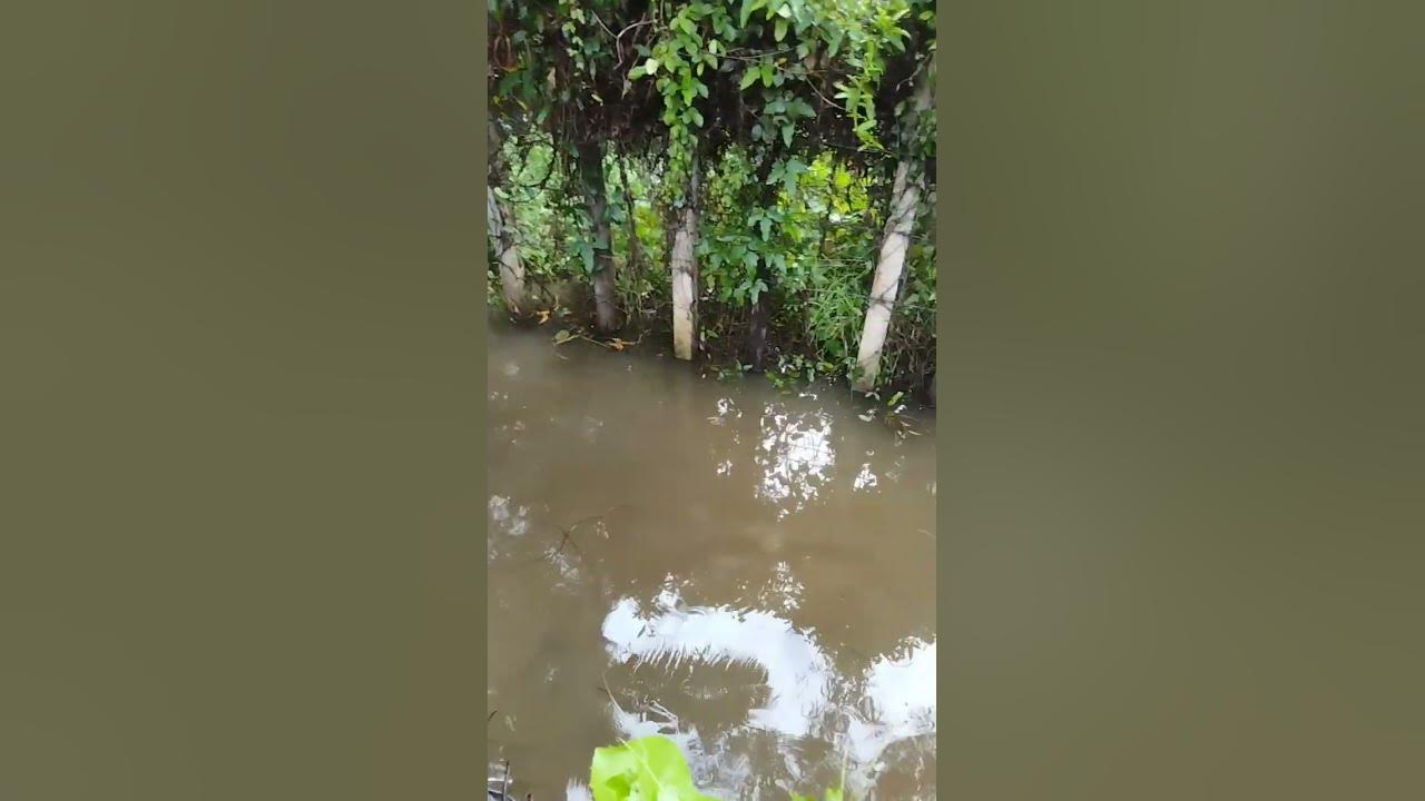 Flooding my village! - YouTube