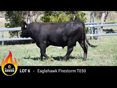 LOT 6 Eaglehawk Firestorm T030 - YouTube